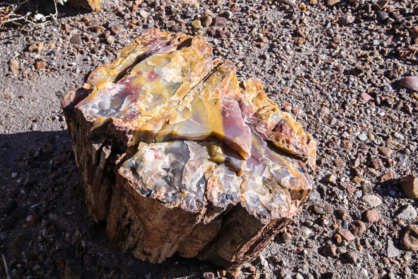 Awesome Parks in Arizona: Travel Series – K Schulz Photography