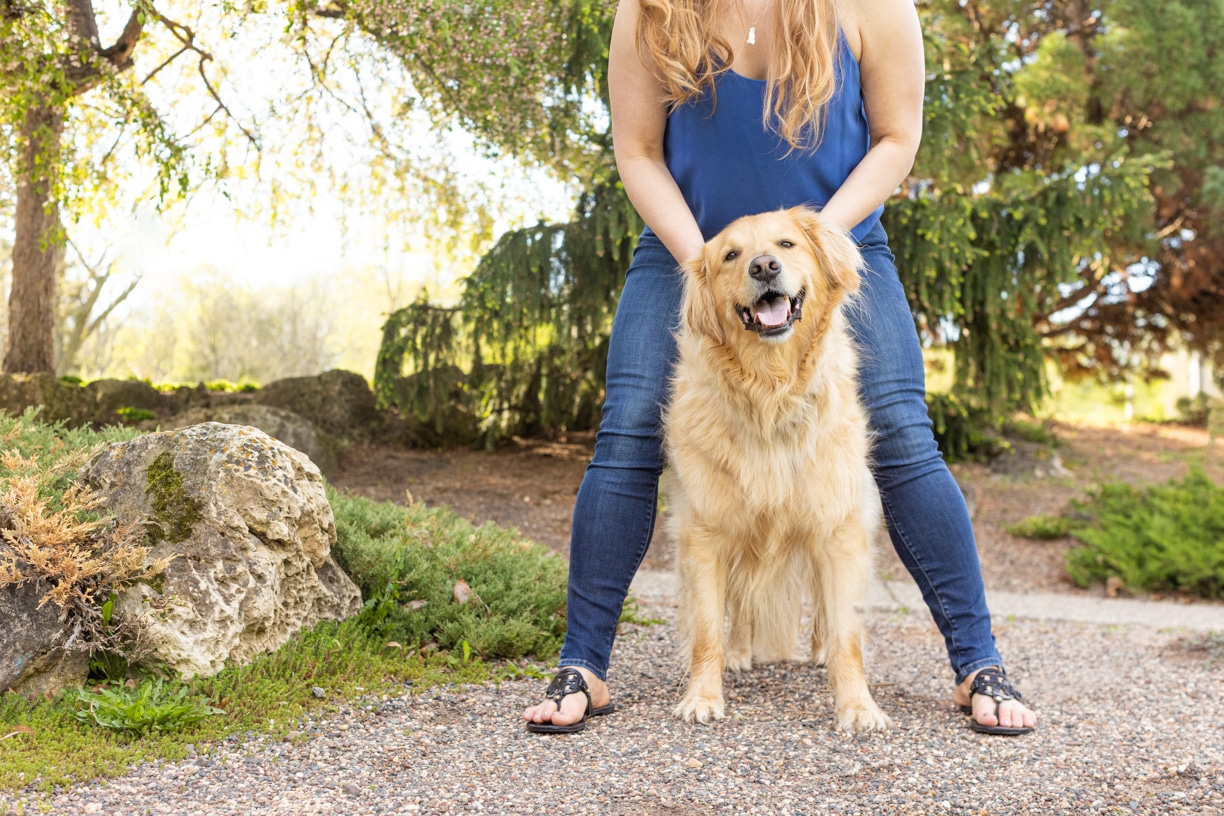 11 Spring Activities with your dog – K Schulz Photography